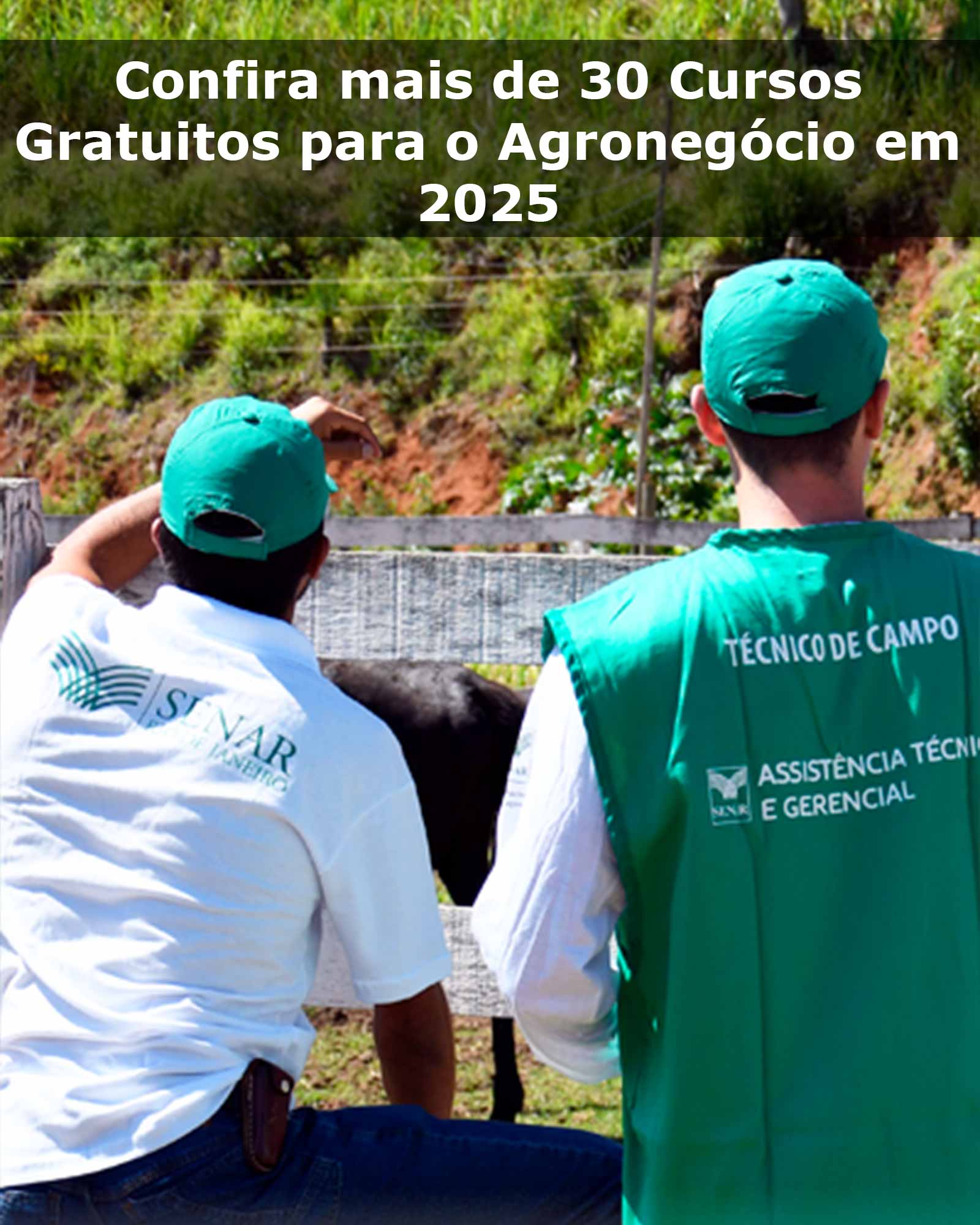 30 Cursos Gratuitos para o Agronegócio em 2025 - Sertanejo Oficial
